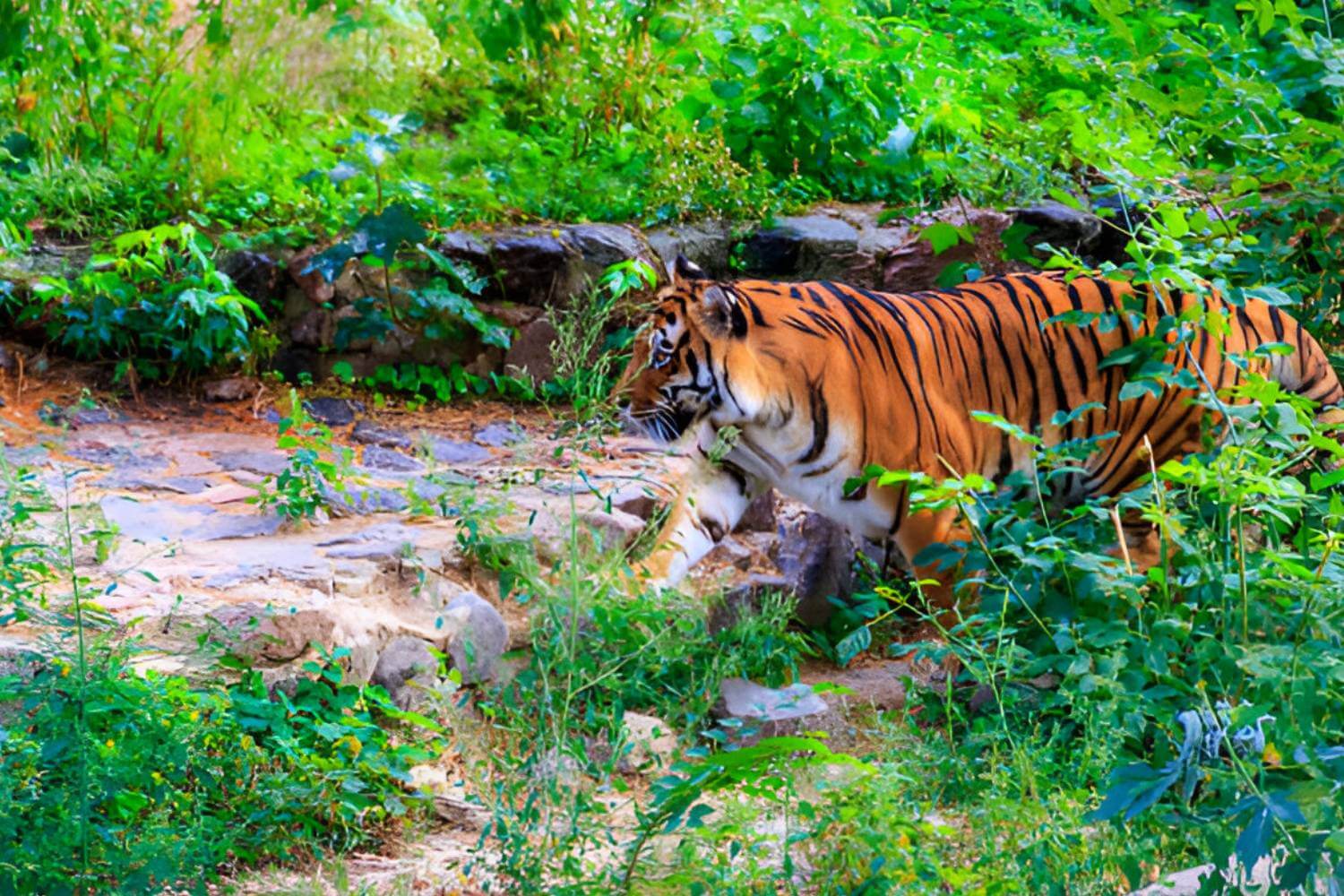 Why Visit Arunachal Pradesh in September–October | Tour My India