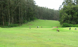 Best Golf Tours & Holiday Packages in India
