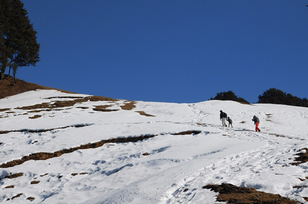 Jalori Pass Trek - A Moderate Trek in Himachal Pradesh