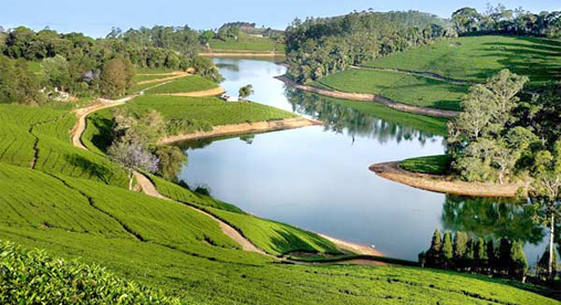 Kodaikanal Hill Station Travel Guide - Princess of Hill stations