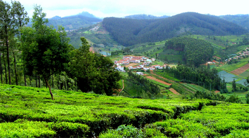 Ooty Hill Station Tour & Travel Guide