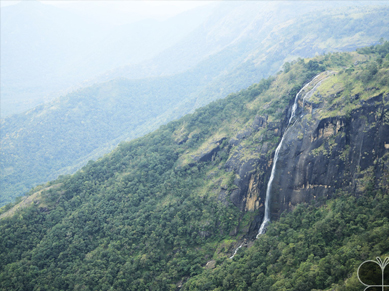 Pandikuzhi- A Very Popular Picnic Spot in Periyar, Kerala