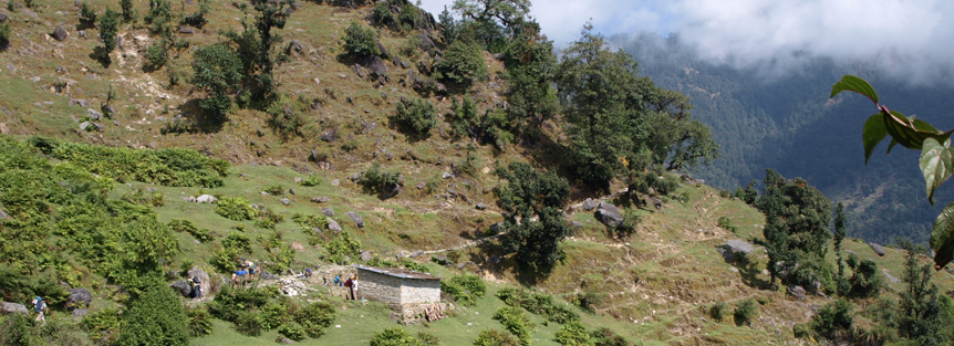 Pindari Glacier Trekking Tour Guide Kumaon, Uttarakhand