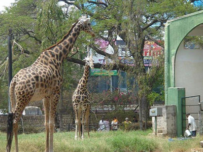 State Museum and Zoo Thrissur, Kerala