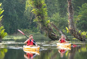 Thattekad Travel Guide Kerala– Top Things to Do & See in Thattekad, Kerala