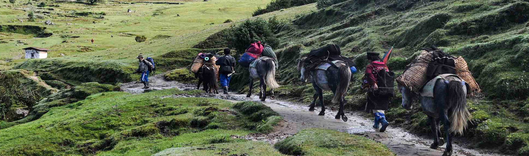 Bumthang Cultural Trek- The Best Ways of Exploring Bhutan’s Culture ...