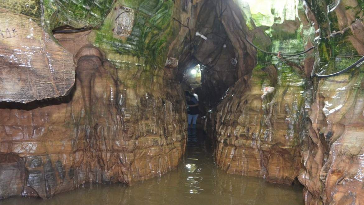 Godavari River Birthplace