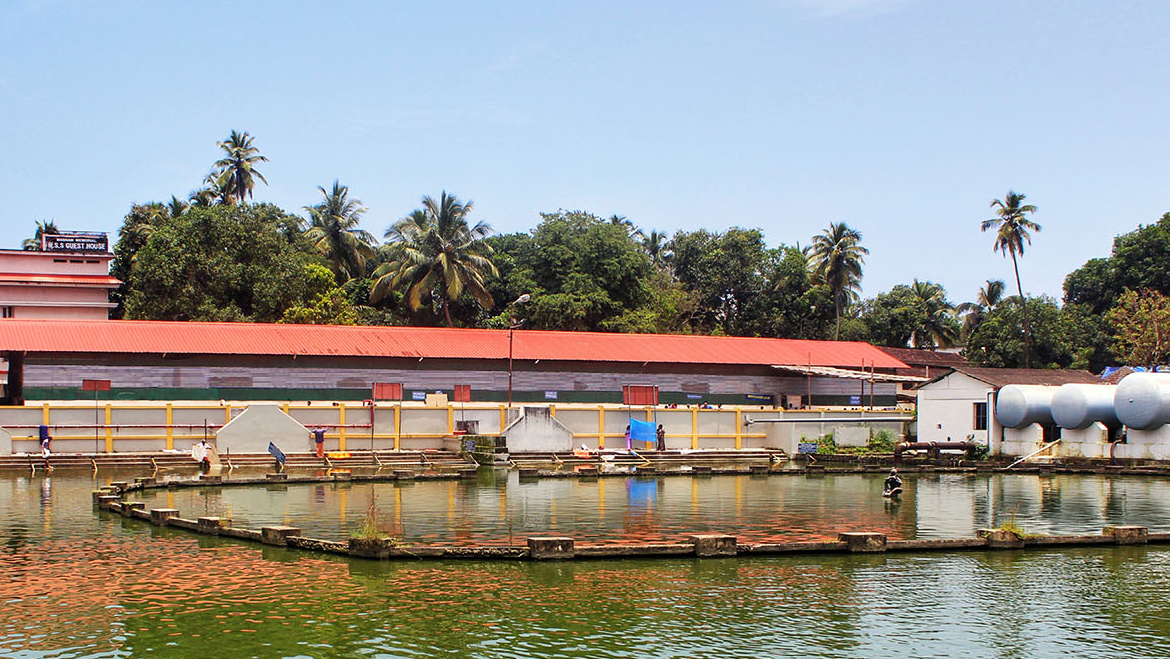 Guruvayoor Tour from Cochin- Book 2N/3Days Guruvayoor Weekend Package