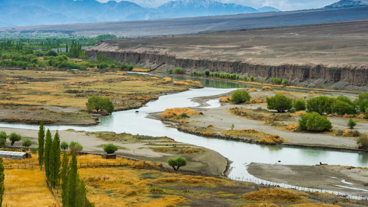 Nubra Tourist Attractions | Sightseeing Places & Things to Do in Nubra ...
