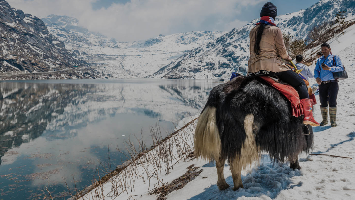 7N/8D Sikkim & Darjeeling Honeymoon Tour Package | Romantic Sikkim Tour