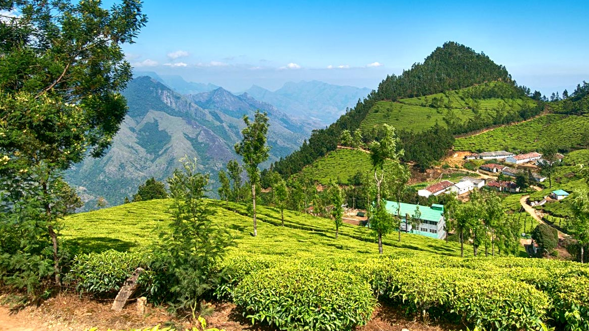 South India Hill Stations Tour Packages - Holidays in South India
