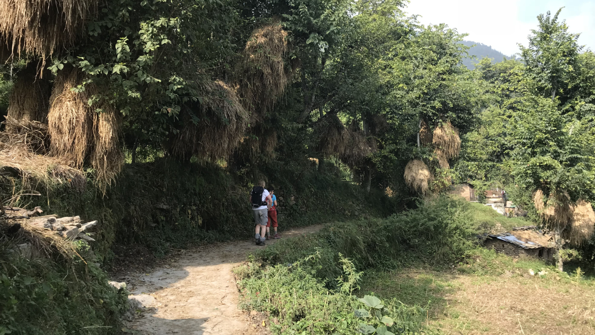 Easy Treks in India | Best Treks for Beginners in India, Himalayas